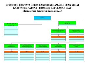 Struktur Organisasi dan Tata Kerja Kantor Kecamatan Suak Midai ...